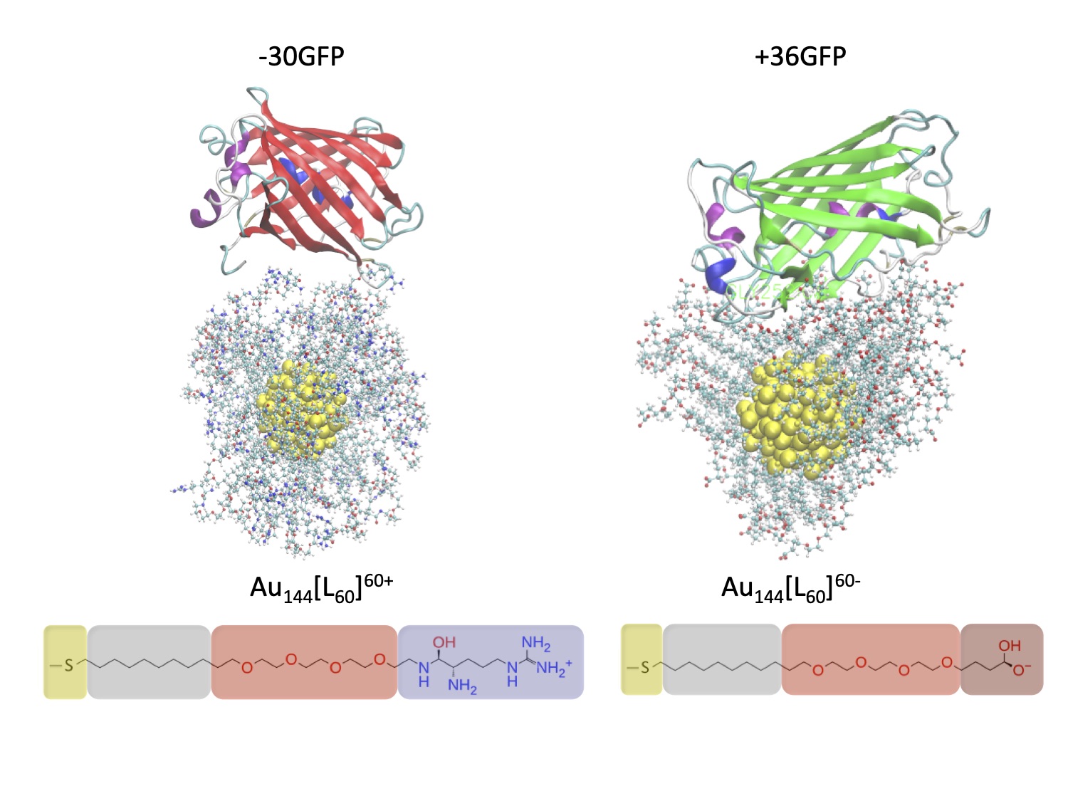 Bio-functionalized metal nanoparticles for therapeutic and diagnostic ...