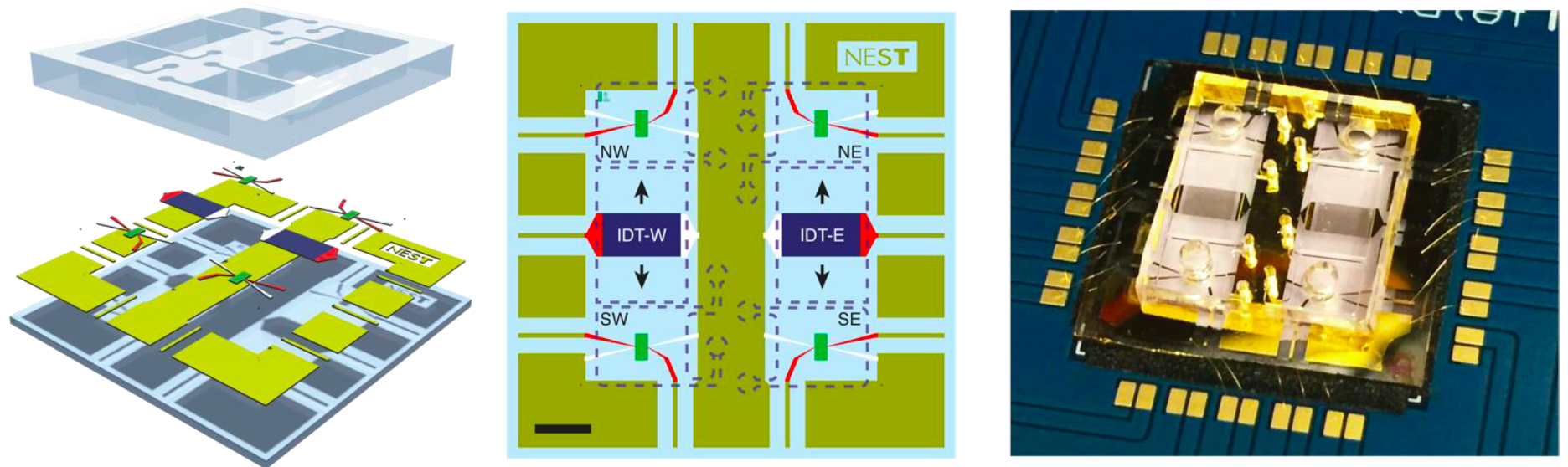 Nanotechnologies for point-of-care diagnostics and nanomedicine – BIO@NANO