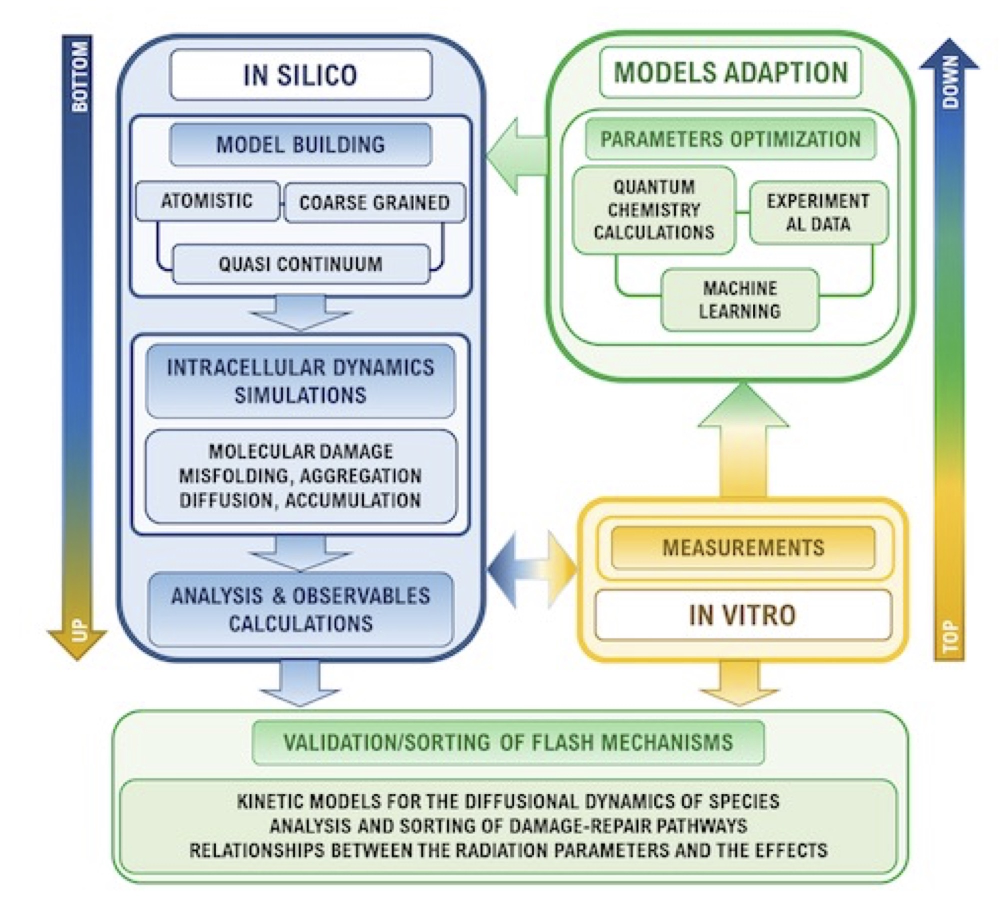 A multidisciplinary approach to FLASH radiotherapy – BIO@NANO